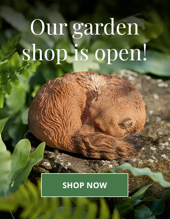 Museum Selection | Collection of Home Accessories, Jewellery, Gifts and ...