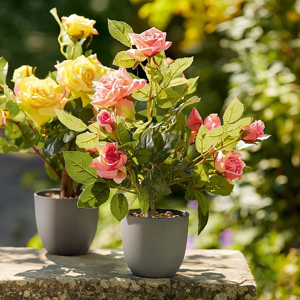 Pink Potted Faux Rose Plant Reviews | Museum Selection UK Reviews | Feefo