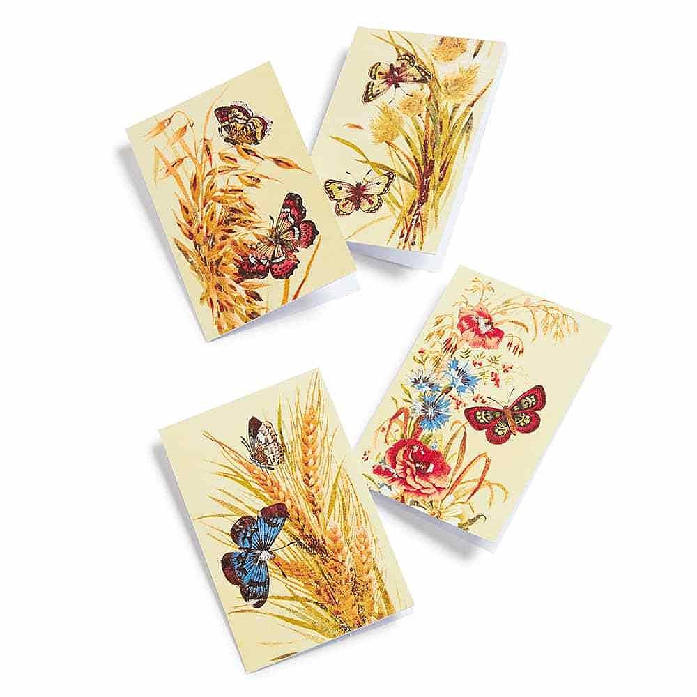 Victorian Butterfly Cards | Museum Selection