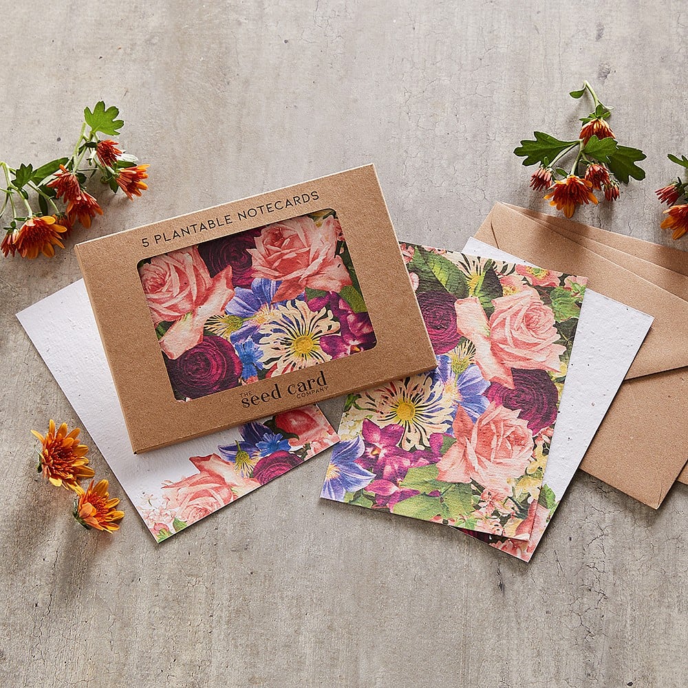 5 Plantable Seed Cards | Museum Selection
