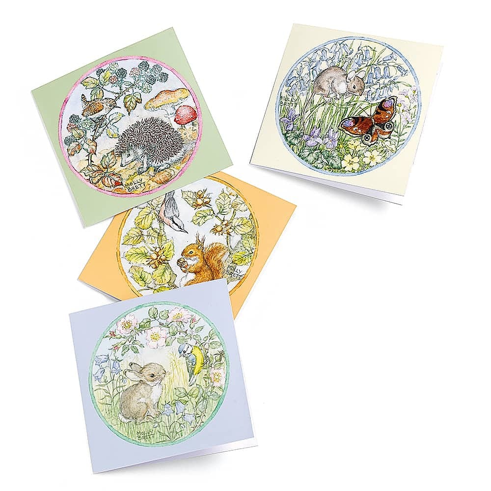 20 Seasonal Wildlife Cards | Museum Selection