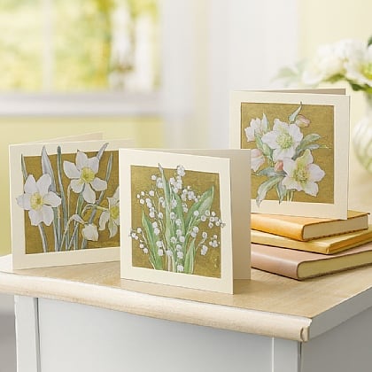 Greeting Cards | Premium Cards & Gift Wrap | Museum Selection