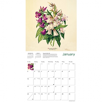 Buy 2020 Calendars & 2020 Diaries from Museum Selection