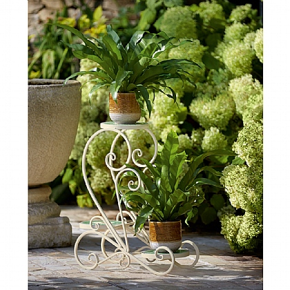 All Garden | Our Garden Collection | Museum Selection