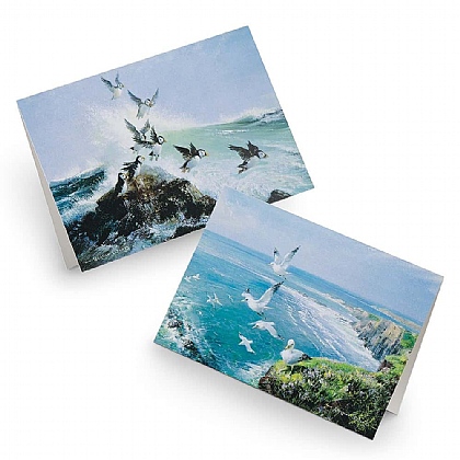 Greeting Cards | Premium Cards & Gift Wrap | Museum Selection