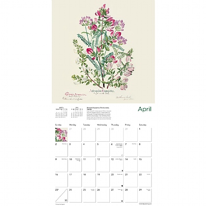 New Collections – Gifts, Homeware & Accessories From The Arts & History ...