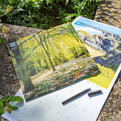 New Collections – Gifts, Homeware & Accessories From The Arts & History ...