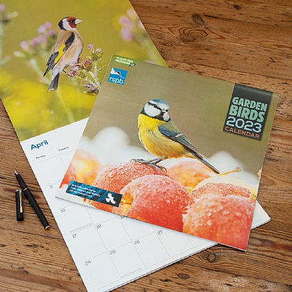 New Collections – Gifts, Homeware & Accessories From The Arts & History ...