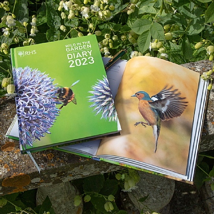 New Collections – Gifts, Homeware & Accessories From The Arts & History ...