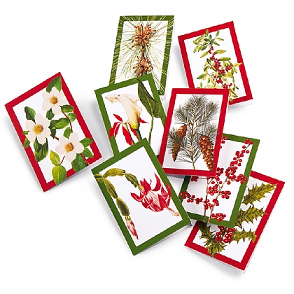 Offers | Save up to 20% | Museum Selection