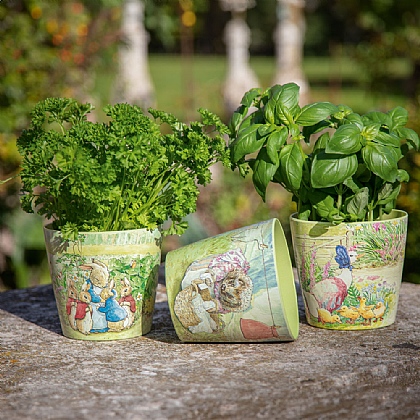 Garden Planters, Pots, Trellises & Supports | Garden | Museum Selection