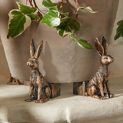 All Garden | Our Garden Collection | Museum Selection