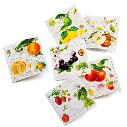 Greeting Cards | Premium Cards & Gift Wrap | Museum Selection