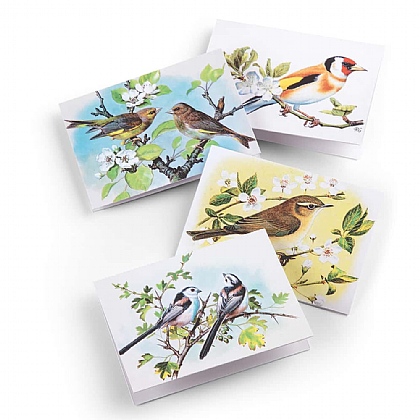 Greeting Cards | Premium Cards & Gift Wrap | Museum Selection