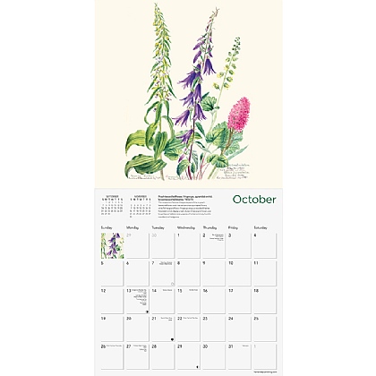 New Collections – Gifts, Homeware & Accessories From The Arts & History ...