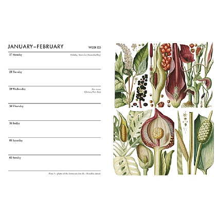 New Collections – Gifts, Homeware & Accessories From The Arts & History ...