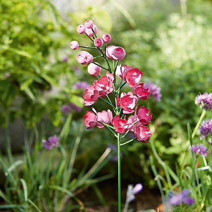 All Garden | Our Garden Collection | Museum Selection