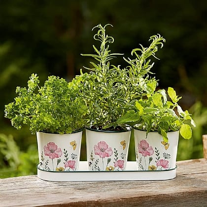 All Garden | Our Garden Collection | Museum Selection