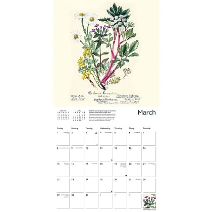 Calendars & Diaries from Museum Selection