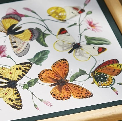 New Collections – Gifts, Homeware & Accessories From The Arts & History ...